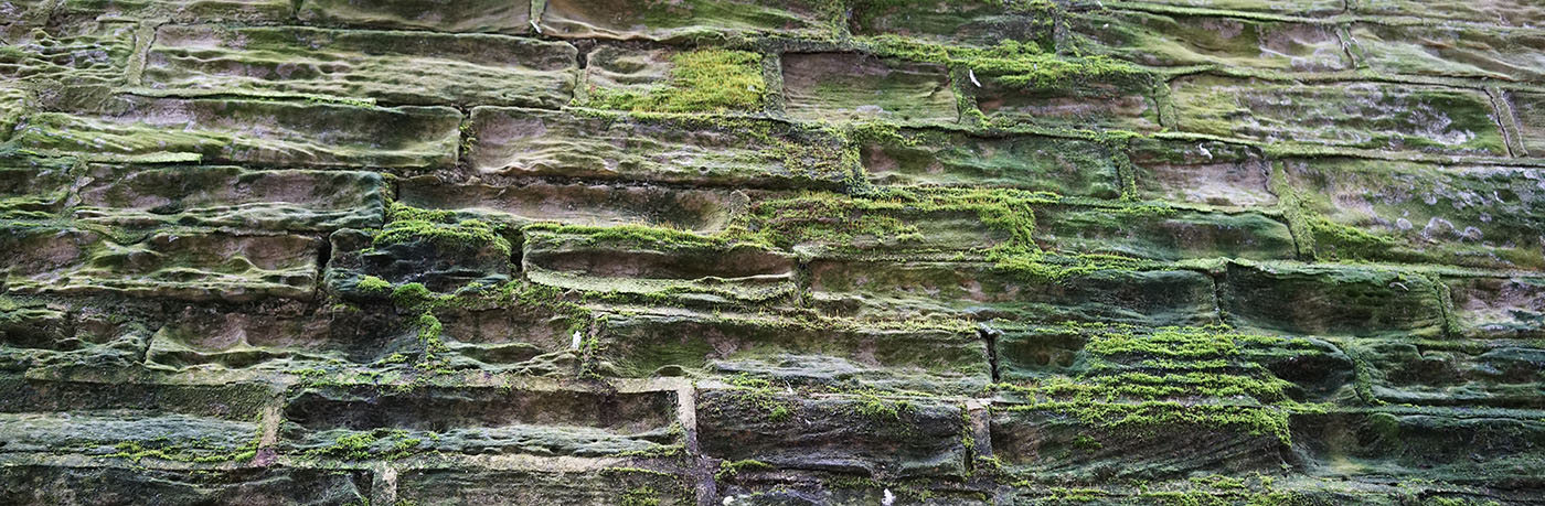 Old mill building structural damage example » Atom Consultants